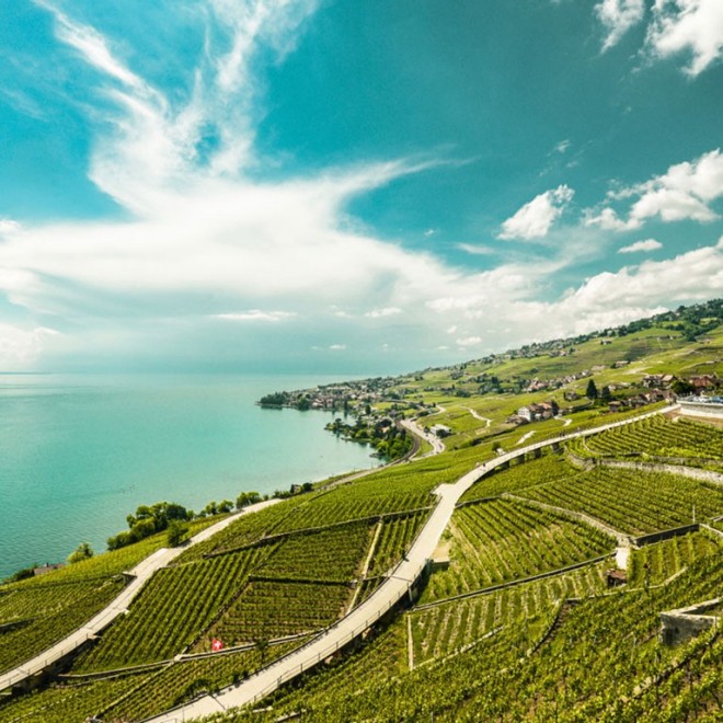 Ihr Hotel in Lavaux | Hôtel du Léman Montreux-Vevey